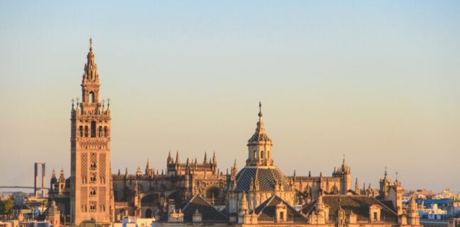 International - direkt